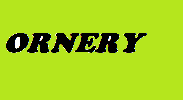 What Does Ornery Mean in Spanish? — A Comprehensive Guide - Ornery Home
